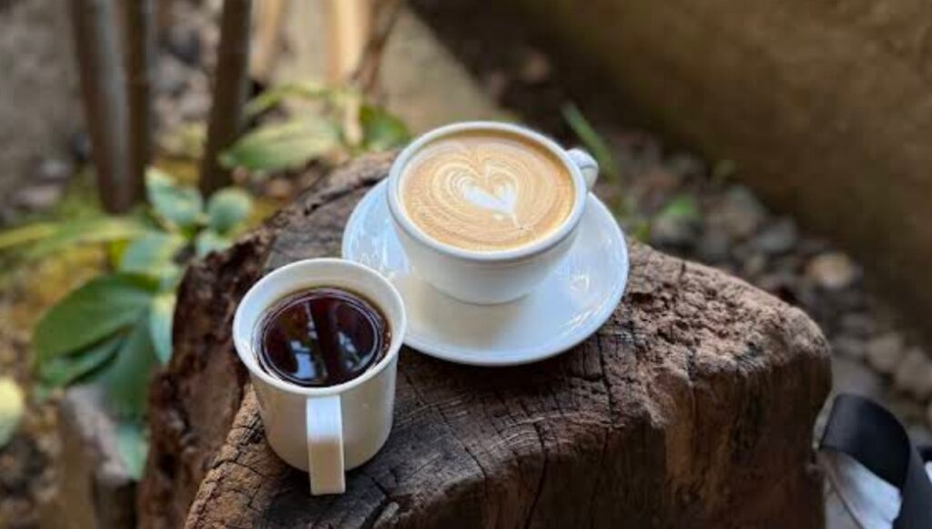 Where to Get the Best Coffee in Kyoto: Local Favorites and Gems